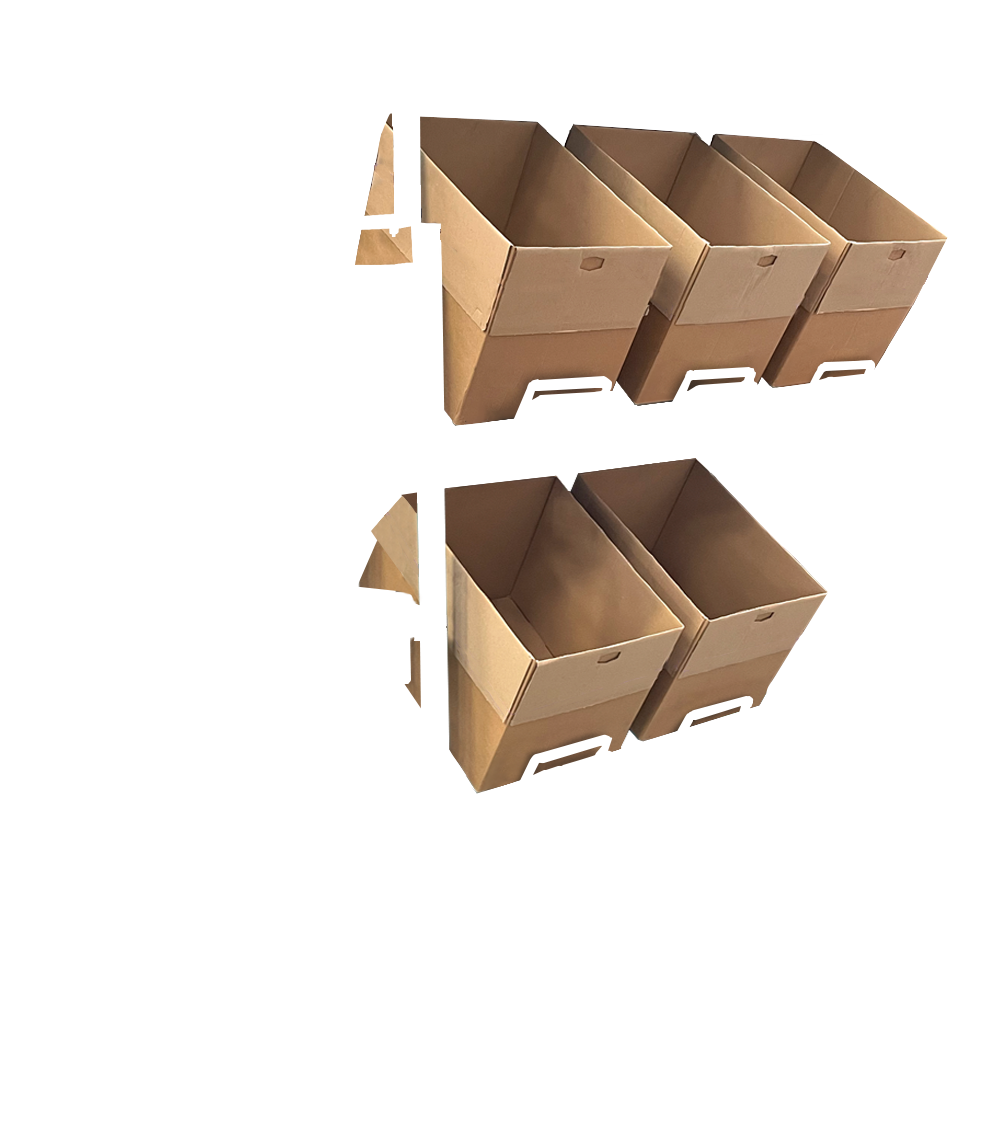 Loose Picking - Balea